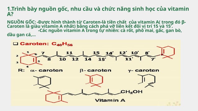 Slide Seminar: Vitamin tan trong dầu.pptx