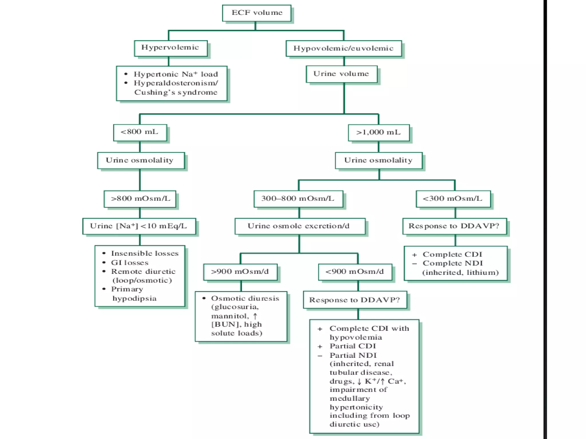 hypernatremia | PPTX