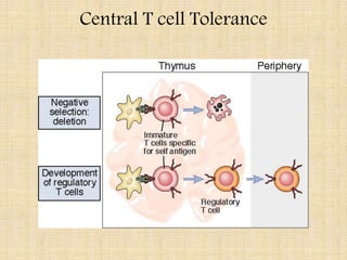 Cell Tolerance | PPTX