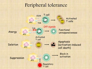 Cell Tolerance | PPTX