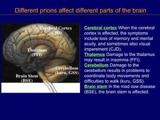 Sem4_Prion_V everything about proonG.pptx