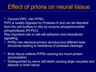 Sem4_Prion_V everything about proonG.pptx