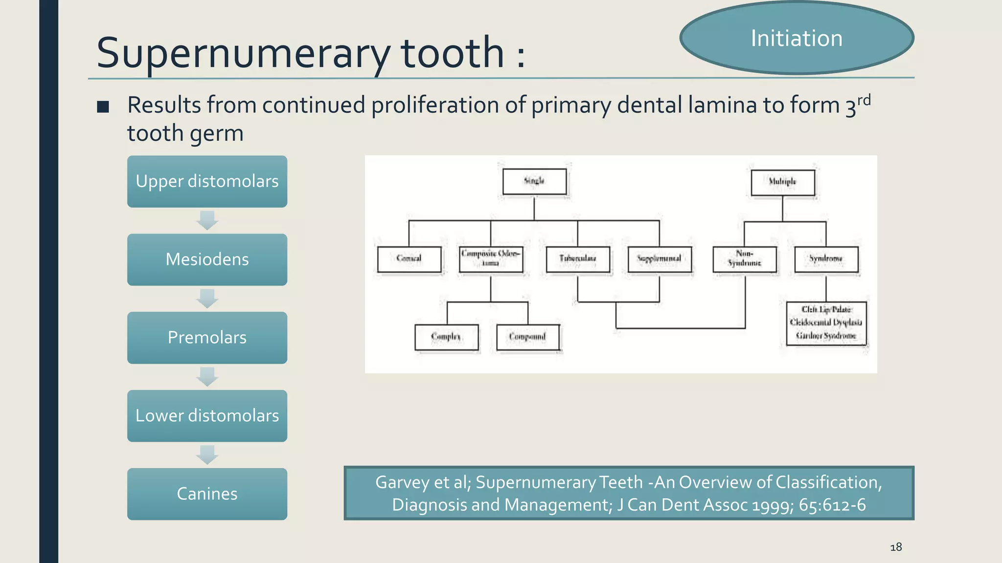 Tooth development, eruption & applied aspects | PPTX