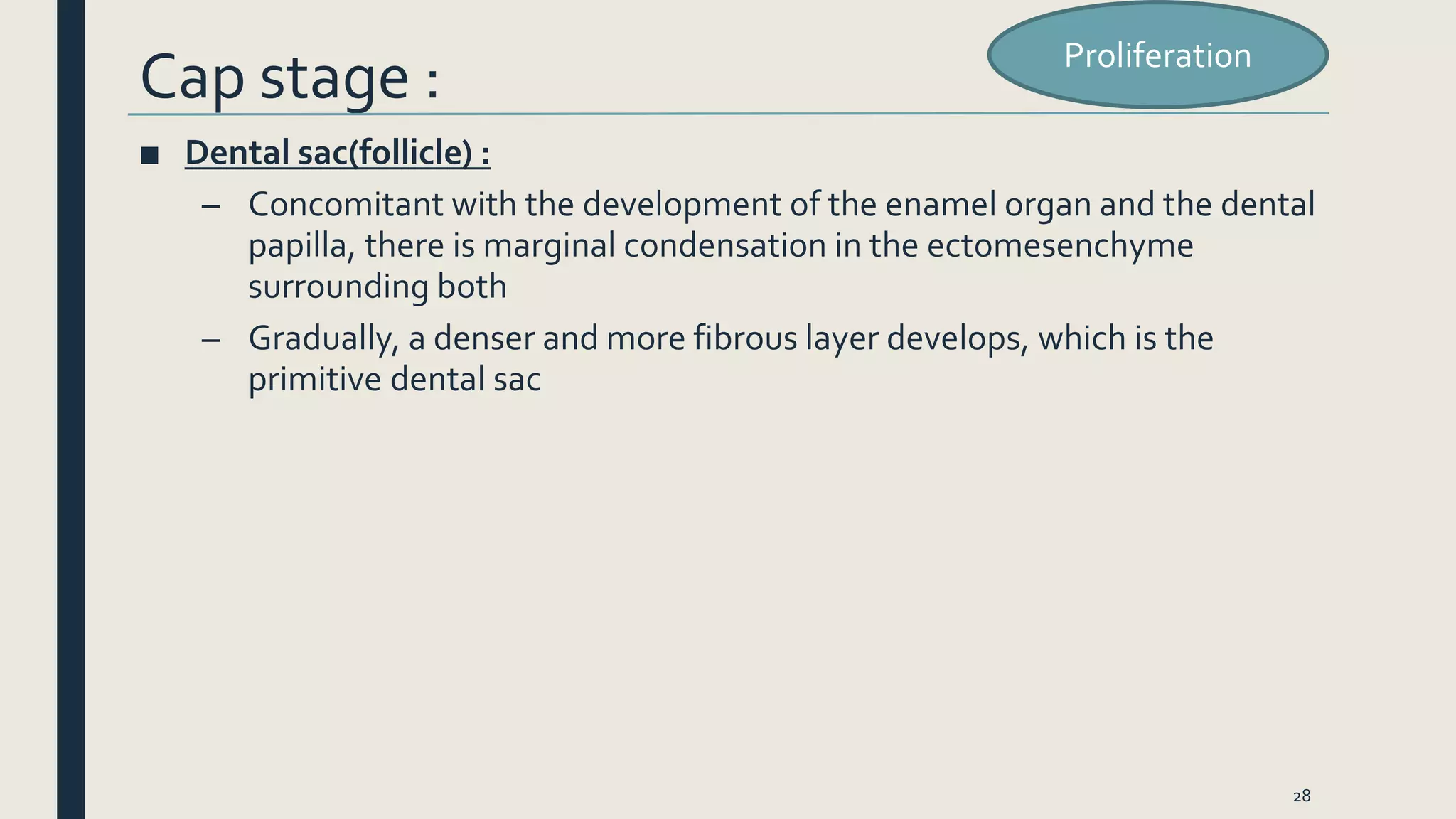Tooth development, eruption & applied aspects | PPTX