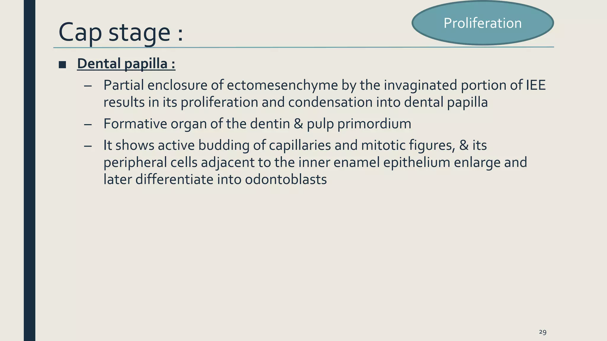 Tooth development, eruption & applied aspects | PPTX