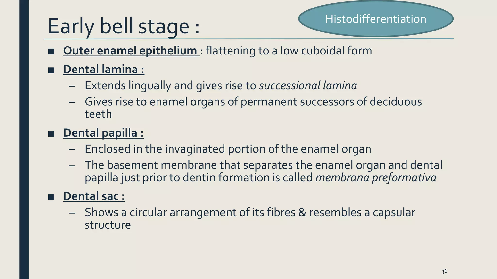 Tooth development, eruption & applied aspects | PPTX