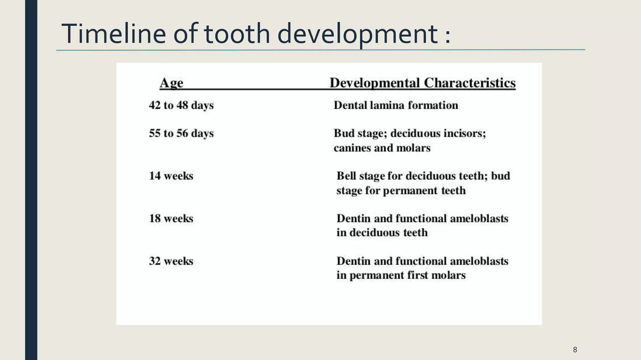 Tooth development, eruption & applied aspects | PPTX
