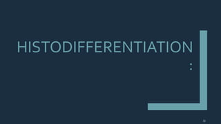 Tooth development, eruption & applied aspects | PPTX