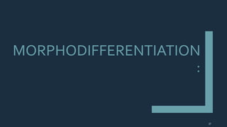 Tooth development, eruption & applied aspects | PPTX