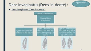 Tooth development, eruption & applied aspects | PPTX