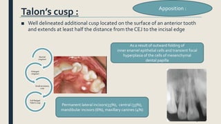 Tooth development, eruption & applied aspects | PPTX