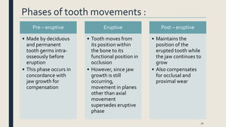 Tooth development, eruption & applied aspects | PPTX
