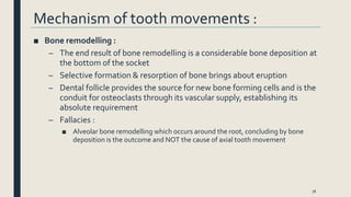 Tooth development, eruption & applied aspects | PPTX
