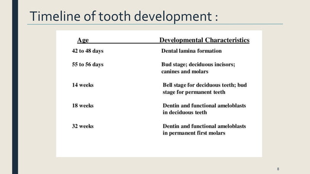 Tooth development, eruption & applied aspects | PPTX