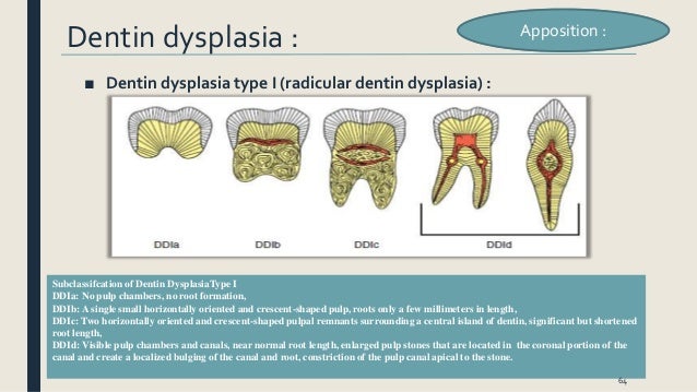 Tooth development, eruption & applied aspects