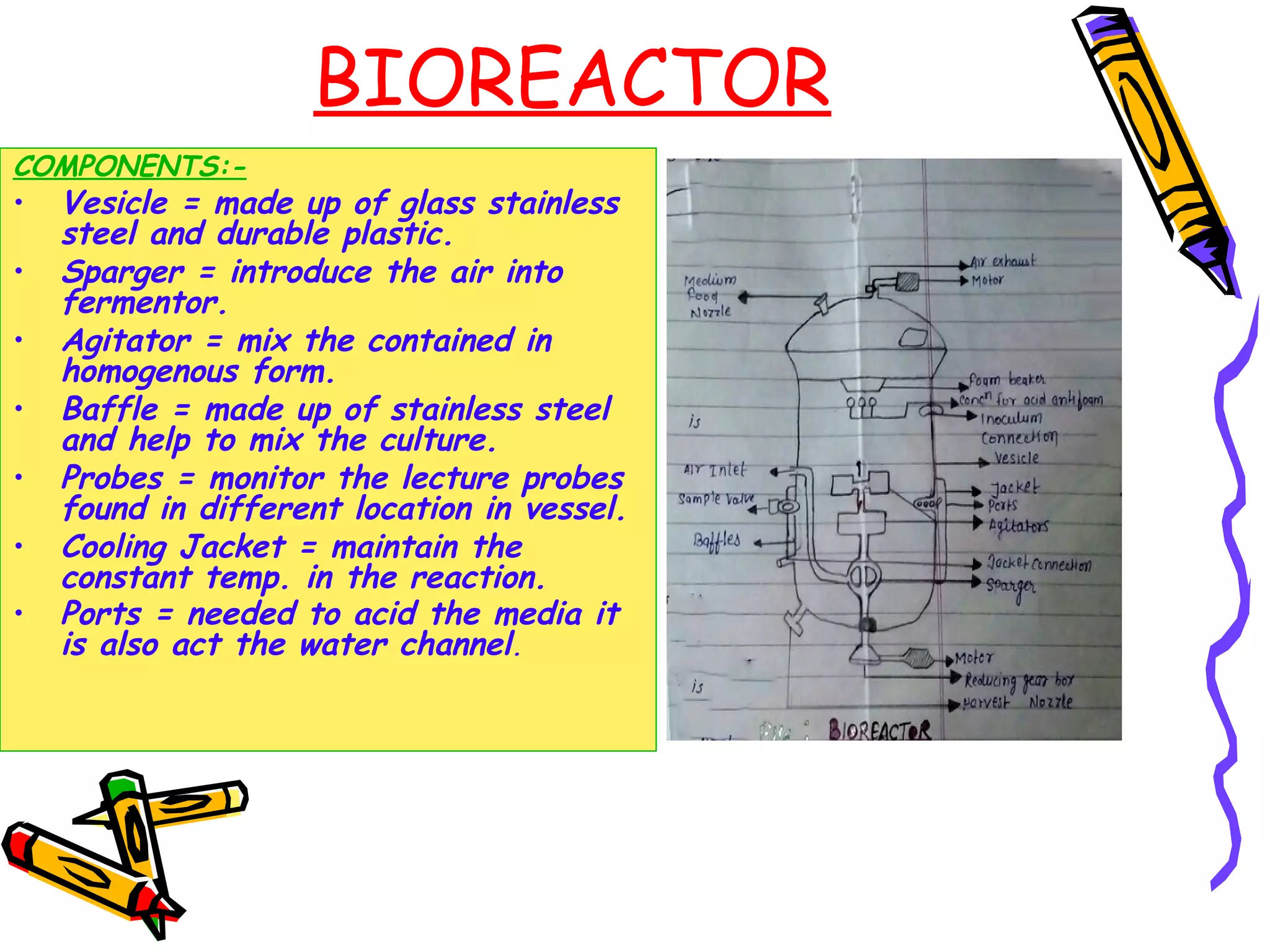 BIOREACTOR | PPT