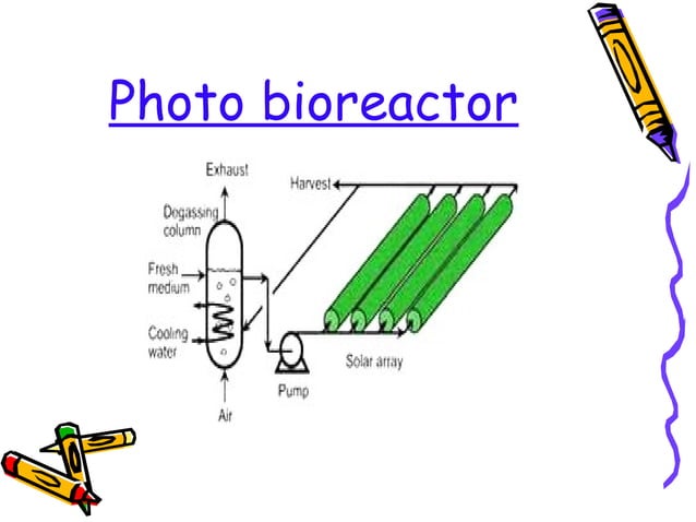 Bioreactor Ppt
