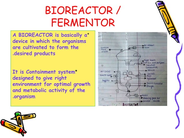 BIOREACTOR | PPT