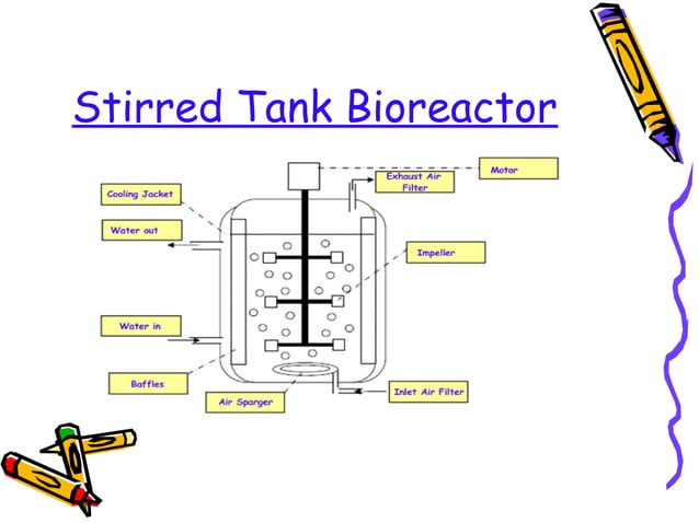 BIOREACTOR | PPT