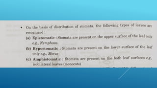 Sem 5 plant anatomy epidermal tissue stomata and trichomes | PDF