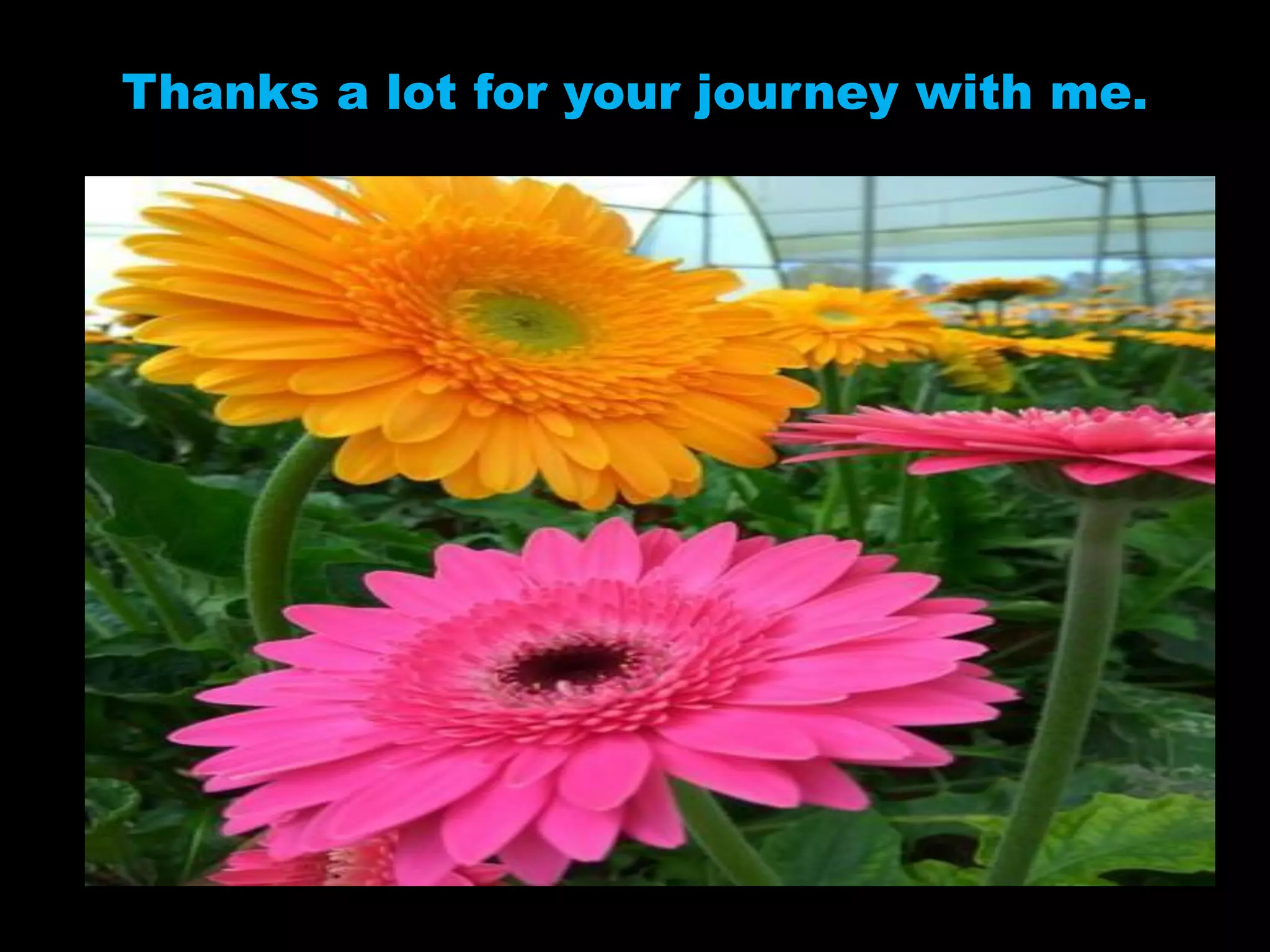 Pollen viability, storage & germination -A basic idea | PDF