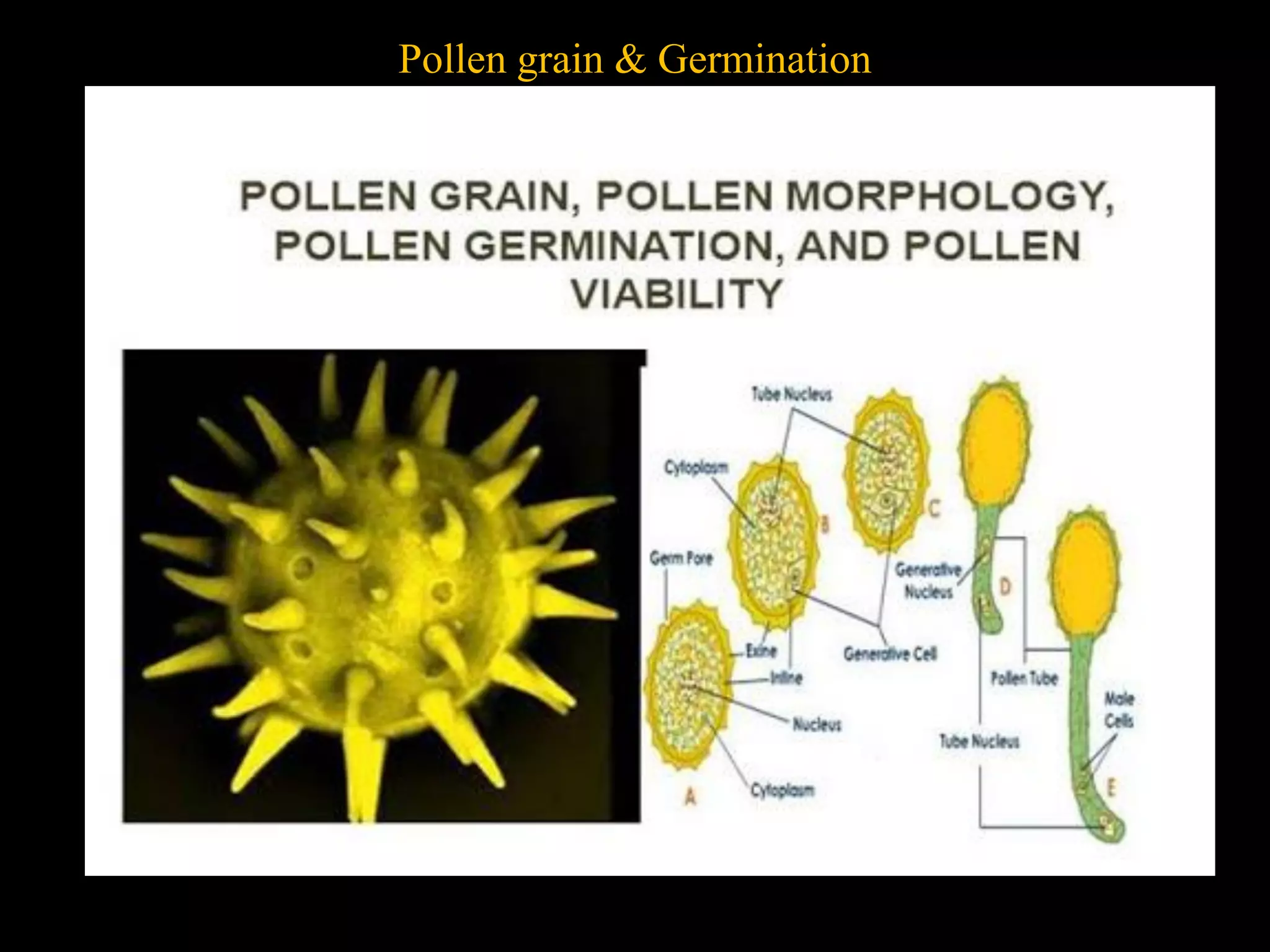 Pollen viability, storage & germination -A basic idea | PDF