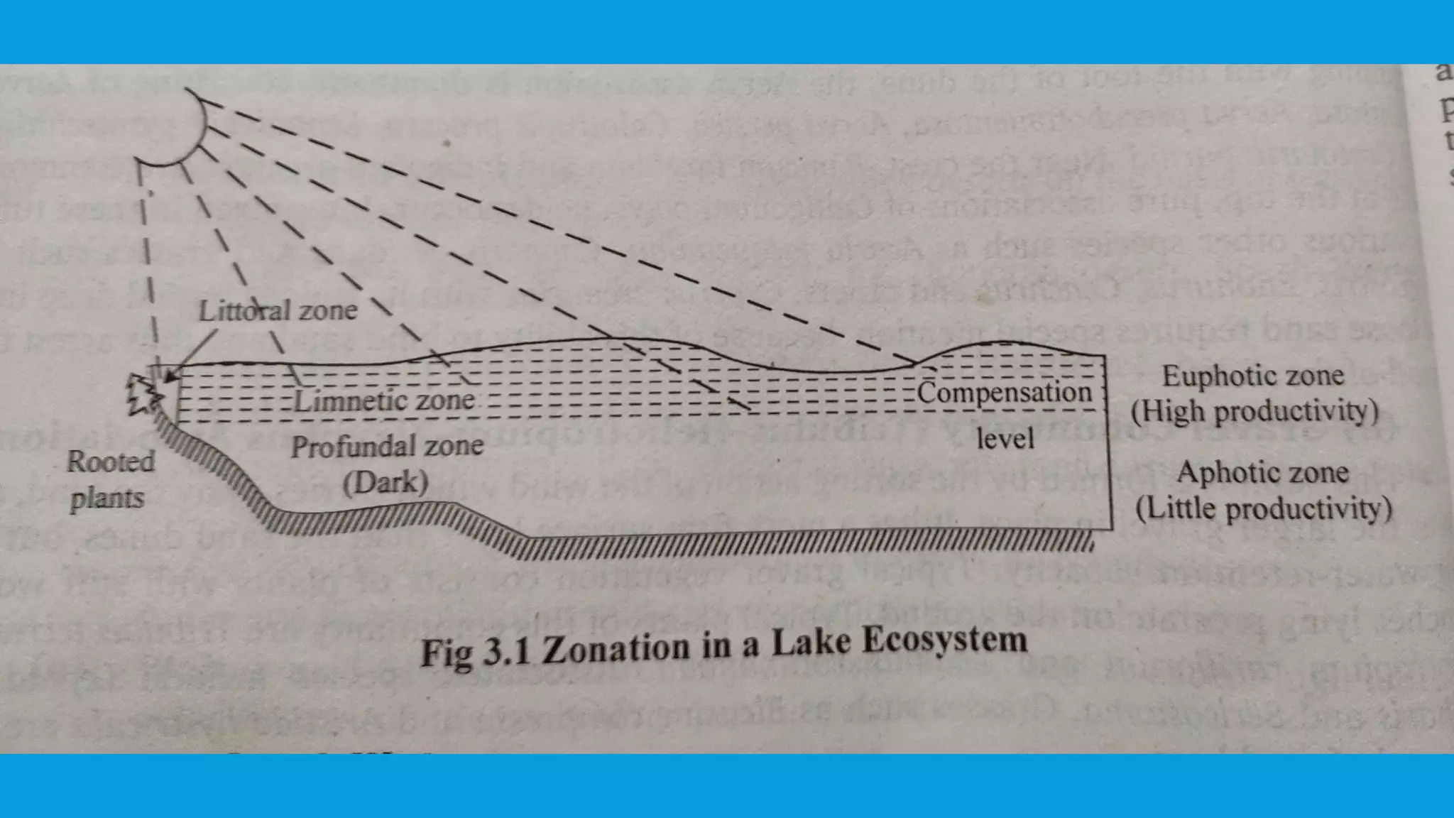 Sem 5 limnology fresh water ecosystem lake ecosystem | PDF