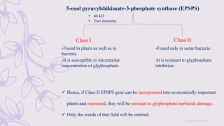 Introduction to plant biotechnology part 3 | PPT
