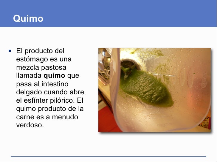 Presentación del capítulo 40