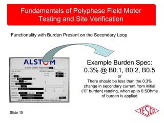 Burden Testing, Theory, and Practice | PPT