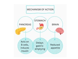 Powerpoint presentation on diabetes and ozempic drug | PPTX