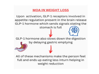 Powerpoint presentation on diabetes and ozempic drug | PPTX
