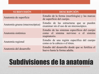 SEMANA 0000- INTRODUCCION DE ANATOMIA.pptx