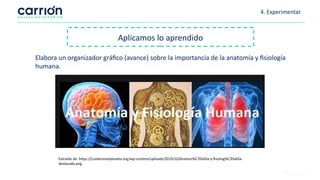 anatomia y fisiologia, conceptos basicos | PPTX
