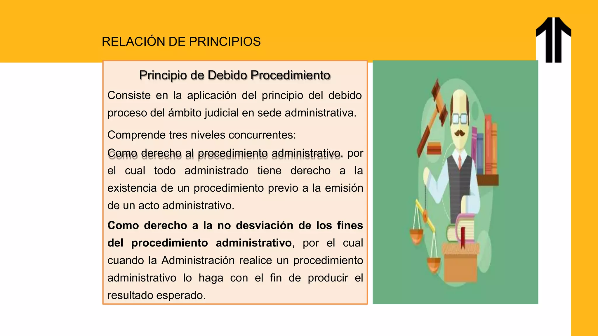 SEMANA 02 PRINCIPIOS MATERIALES DEL PROCEDIMIENTO ADM.pptx