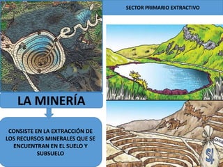 Actividades Económicas Primarias | PPTX
