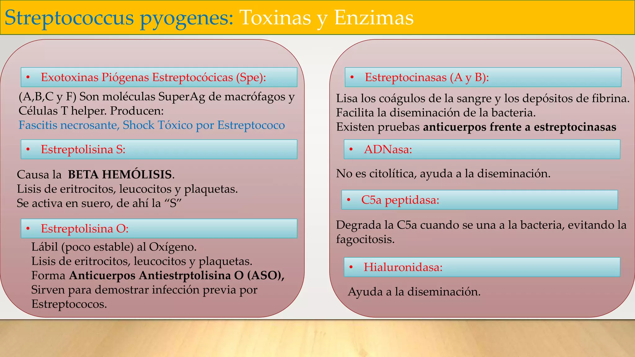 Streptococcus pyogenes | PPTX