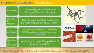 Streptococcus pyogenes | PPTX