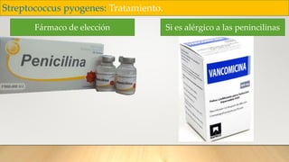 Streptococcus pyogenes | PPTX