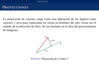 Vectores en 2 y 3 dimensiones | PDF