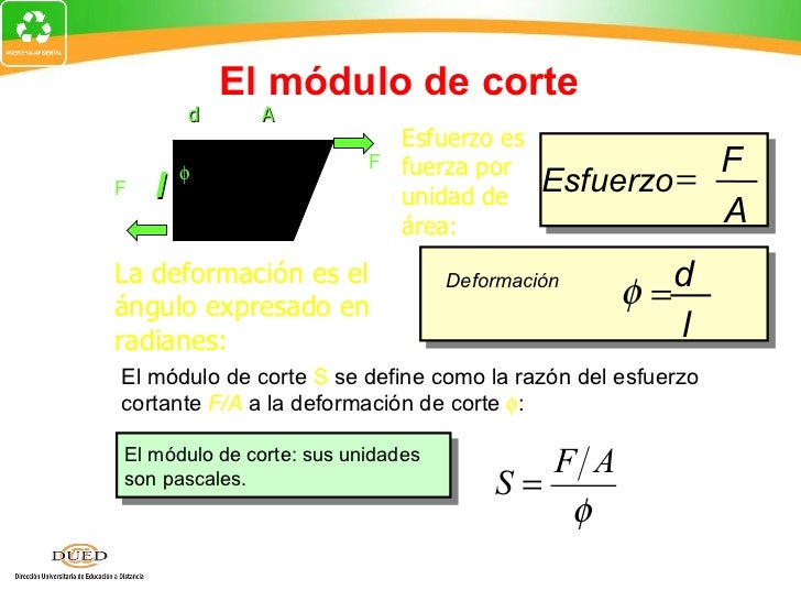 Semana 1 elasticidad