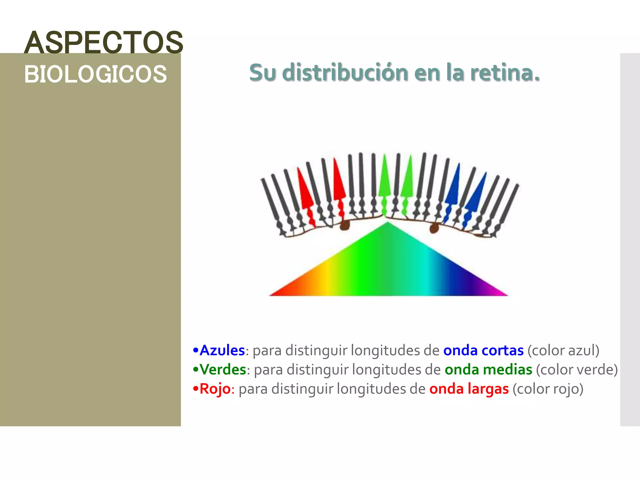 Semana 1 -teoria del color- esquemas | PPTX