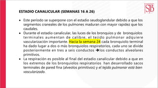 SEMANA 10 EMBRIOLOGIA DEL APARATO RESPIRATORIO.pdf