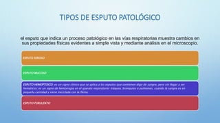 SEMANA 10 MUESTRA DE ESPUTO.pptx