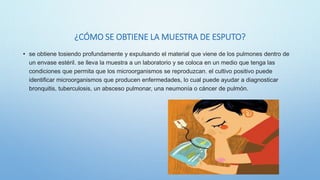 SEMANA 10 MUESTRA DE ESPUTO.pptx