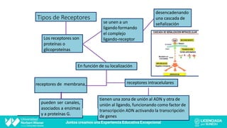 SEMANA 11 - COMUNICACION CELULAR.pptx