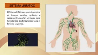 SEMANA 13 SEMIOLOGIA DEL SISTEMA LINFATICO.pptx