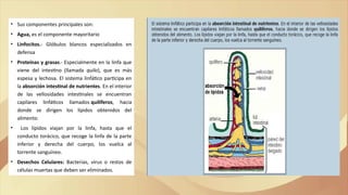 SEMANA 13 SEMIOLOGIA DEL SISTEMA LINFATICO.pptx