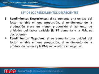 Semana 13 teoria de la produccion | PPTX