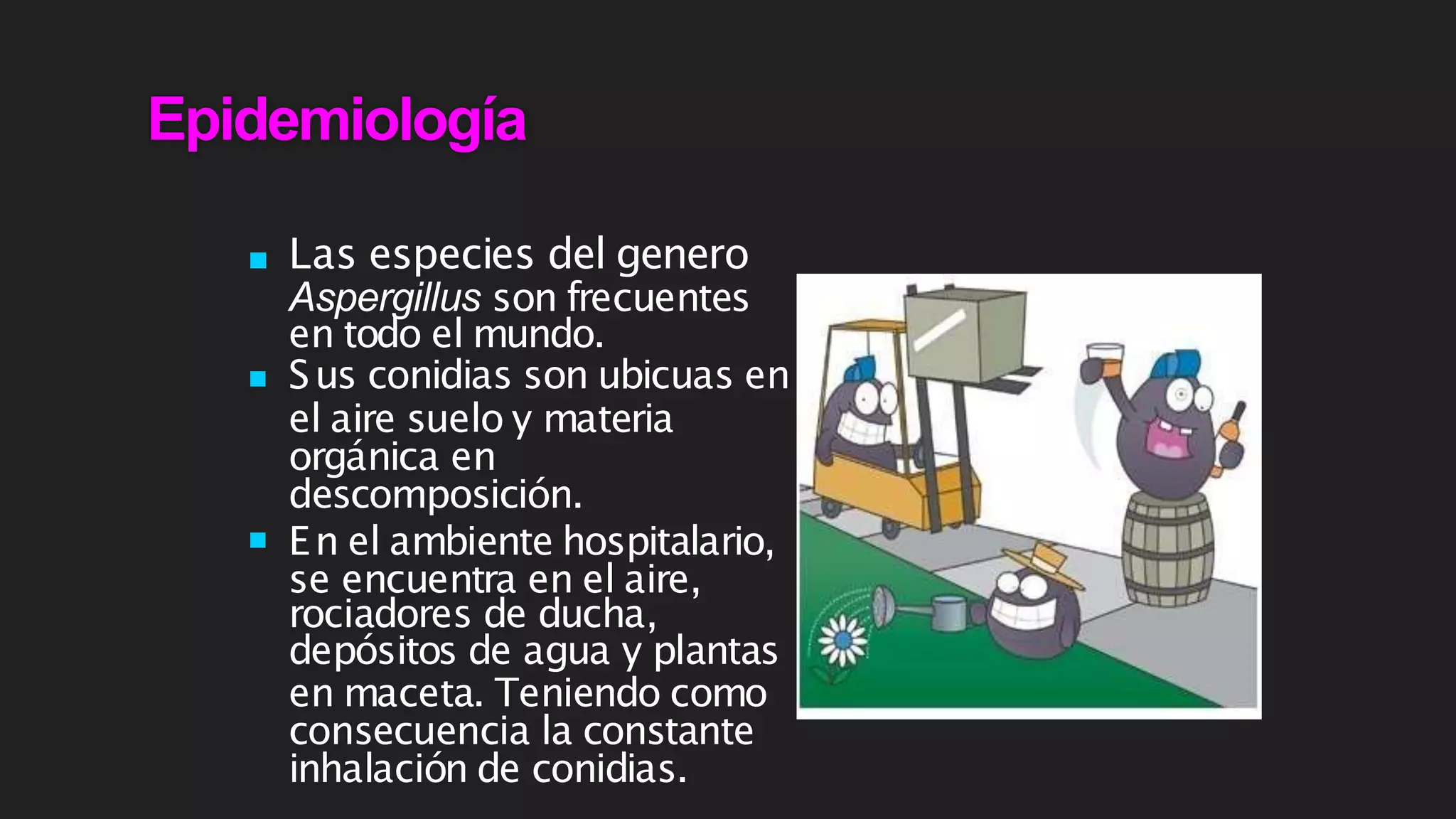 SEMANA 14- ASPERGILOSIS, MUCOR, ZYGOMICOSIS.pptx
